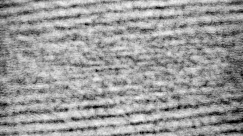 Real-life static noise practical composi... | Stock Video | Pond5