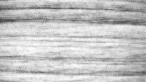 Real-life static noise practical composi... | Stock Video | Pond5