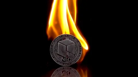 Real NEO coin catches fire on an black b... | Stock Video | Pond5