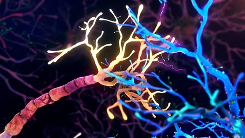 Real Neuron synapse network with electri... | Stock Video | Pond5