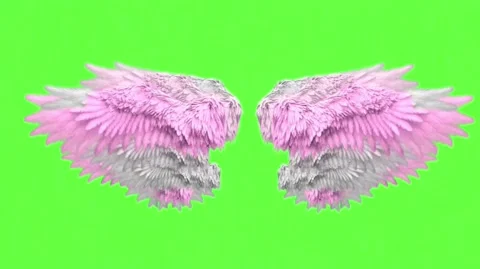 Angel Wings Green Screen Stock Videos – Royalty-Free HD & 4K Videos | Pond5