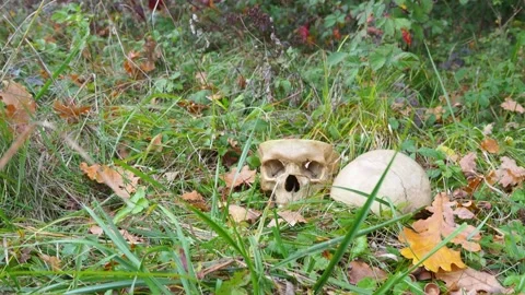 Real scary Haunted house with real human... | Stock Video | Pond5