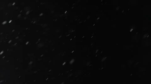 Real Snow Falling Stock Footage ~ Royalty Free Stock Videos | Pond5