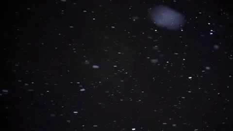 Real snow, falling snow, isolated on bla... | Stock Video | Pond5
