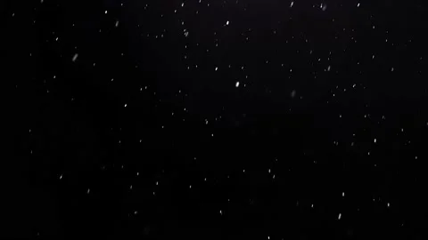 Real snow, falling snow, isolated on bla... | Stock Video | Pond5