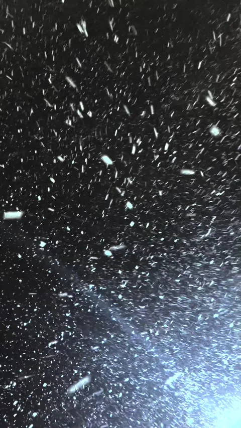 Video Fortale Stock Videos – Royalty-Free HD & 4K Videos | Pond5