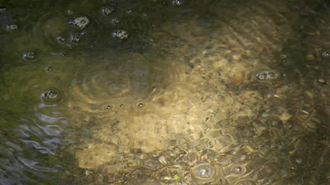 A real spring comes out of the ground. B... | Stock Video | Pond5