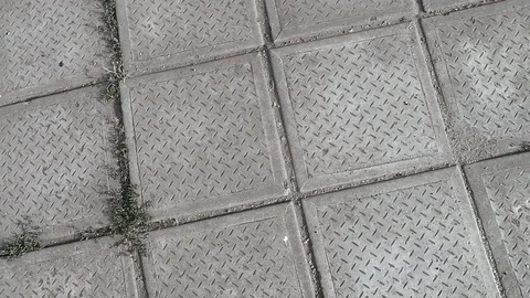 real texture pavement from slabs | Stock Video | Pond5