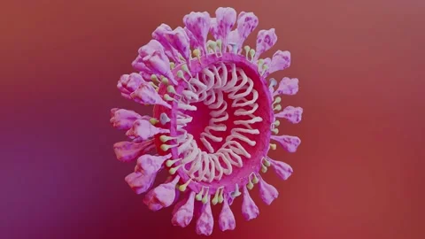 Realistic 3D animation of COVID-19 Virus... | Stock Video | Pond5
