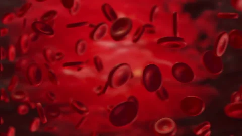 Realistic animation. red blood cells in ... | Stock Video | Pond5