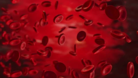 Realistic animation. red blood cells in ... | Stock Video | Pond5