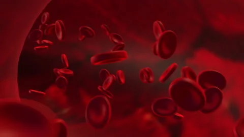 Realistic animation. red blood cells in ... | Stock Video | Pond5