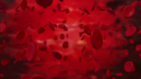 Realistic animation. red blood cells in ... | Stock Video | Pond5