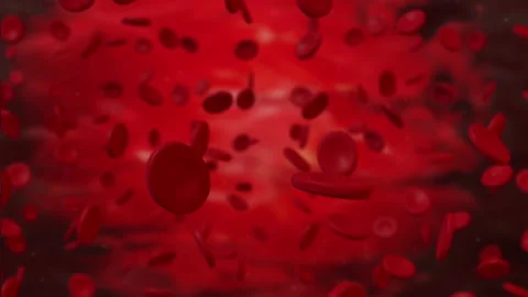 Realistic animation. red blood cells in ... | Stock Video | Pond5