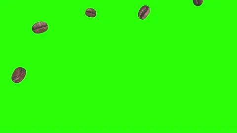 Realistic coffee beans animation graphic... | Stock Video | Pond5