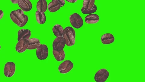 Realistic coffee beans animation graphic... | Stock Video | Pond5
