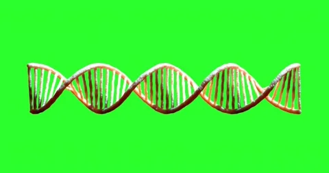 Realistic DNA animation Green screen Chr... | Stock Video | Pond5