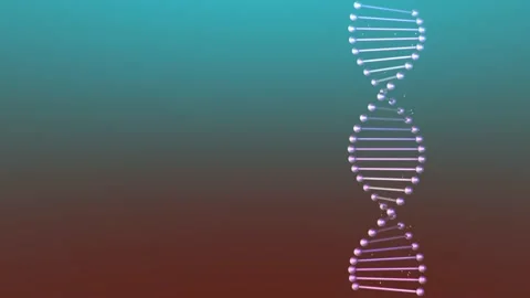Realistic DNA strand moving on a coloure... | Stock Video | Pond5