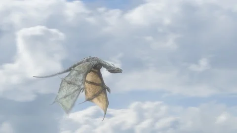 Realistic Dragon flying in the sky. | Stock Video | Pond5