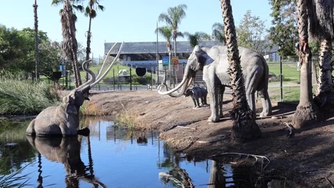 Realistic elephants figurines at The La ... | Stock Video | Pond5