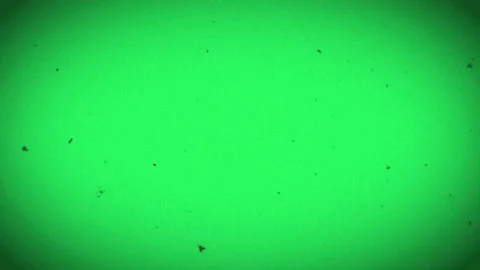 Realistic film grain frame on green back... | Stock Video | Pond5