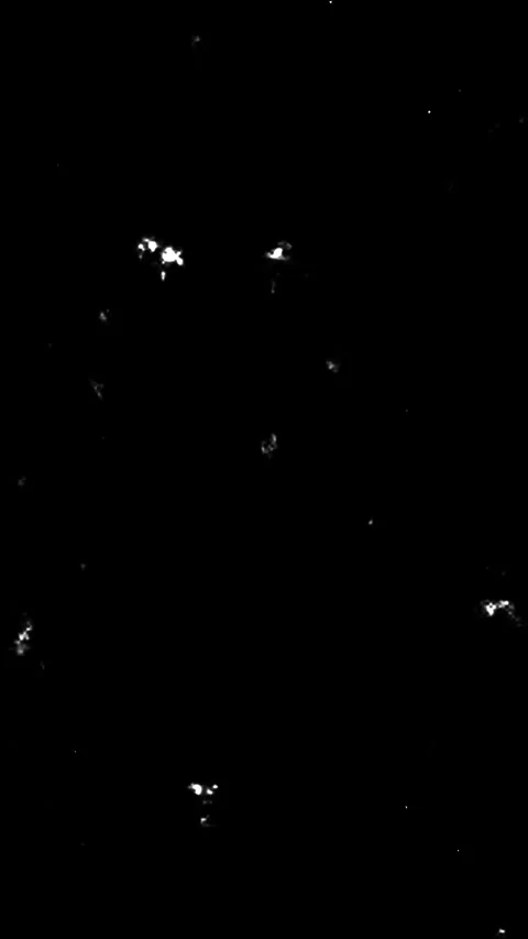 realistic floating dust particle effect ... | Stock Video | Pond5