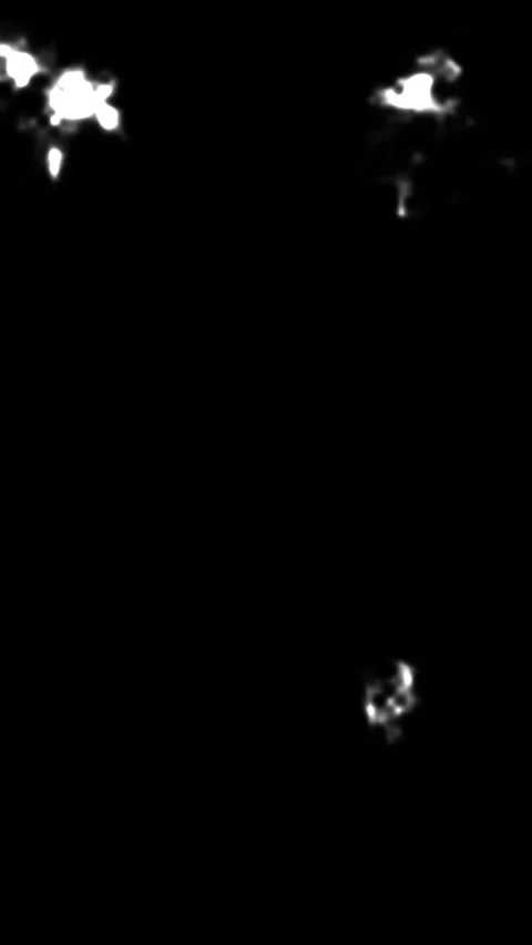 realistic floating dust particle effect ... | Stock Video | Pond5