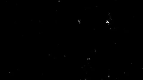 realistic floating dust particle effect ... | Stock Video | Pond5