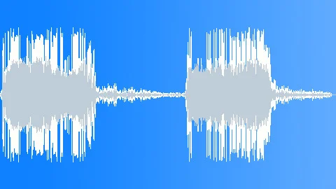 Realistic Kiwi Bird Call ~ Stock Sound Effect #298954290