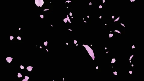 Flower Realistic Stock Videos – Royalty-Free HD & 4K Videos | Page 6