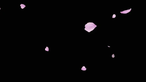 Flower Realistic Stock Videos – Royalty-Free HD & 4K Videos | Page 3