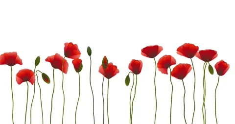 Realistic Flowers Background Stock Videos – Royalty-Free HD & 4K Videos