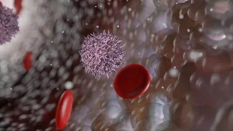 realistic white blood and red blood cell... | Stock Video | Pond5