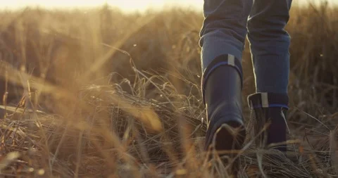 Stepping T Stock Videos – Royalty-Free HD & 4K Videos | Pond5