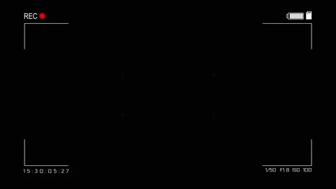 Camera Rec Animation Stock Video Footage | Royalty Free Camera Rec ...