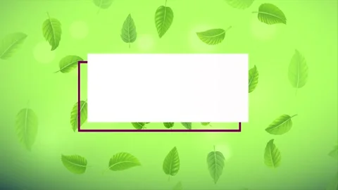 Rectangle leaves bg animation | Stock Video | Pond5