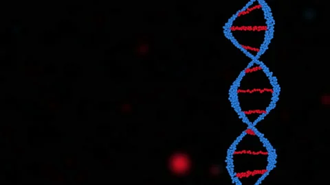 Red and Blue DNA Animation With Particle... | Stock Video | Pond5