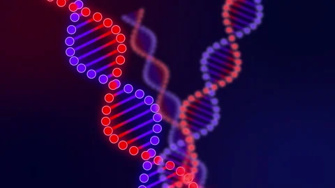 Red and Blue DNA Animation, molecular, b... | Stock Video | Pond5