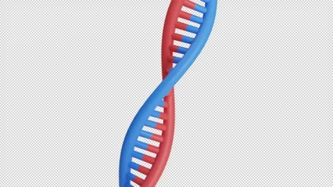 red and blue DNA looping animation, alph... | Stock Video | Pond5