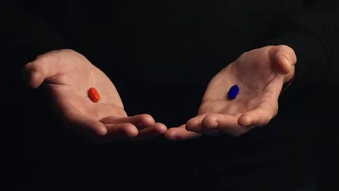 Red Pill Studios Stock Videos – Royalty-Free HD & 4K Videos