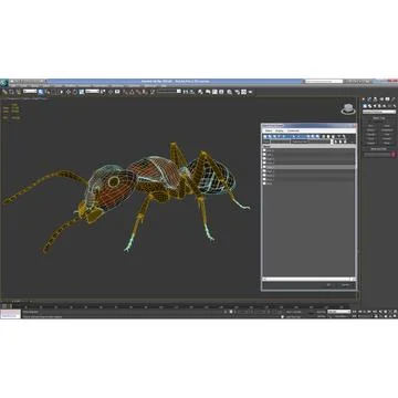 3D Model: Red Ant Pose 3 3D Model #90880763 | Pond5