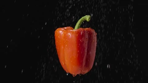 Red bell pepper in the rain on a black s... | Stock Video | Pond5