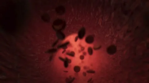 Blood Vfx Stock Videos – Royalty-Free HD & 4K Videos | Pond5