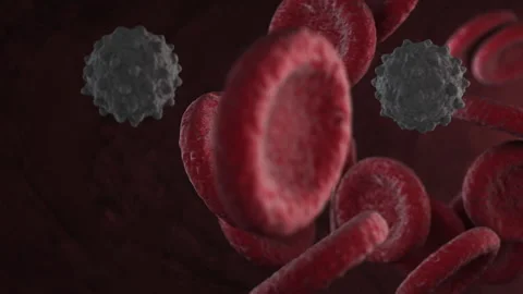 Red Blood Cells in a 3D animation | Stock Video | Pond5