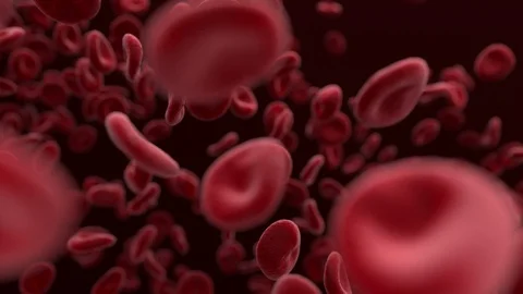 Red Blood Cells 4K | Stock Video | Pond5