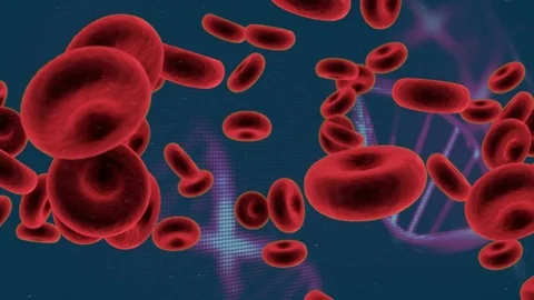 Red blood cells and DNA double helix | Stock Video | Pond5
