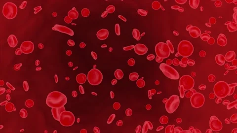 Inside The Body Stock Video Footage | Royalty Free Inside The Body ...