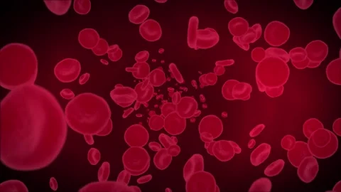 Inside The Body Stock Video Footage | Royalty Free Inside The Body ...