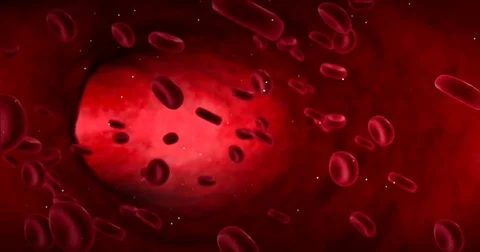 red blood cells animation in an artery, ... | Stock Video | Pond5