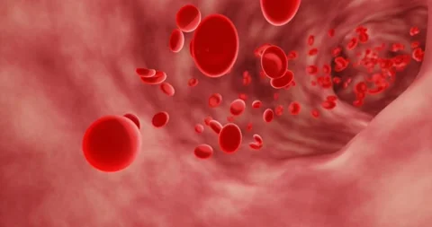 Red blood cells in an artery or blood v... | Stock Video | Pond5